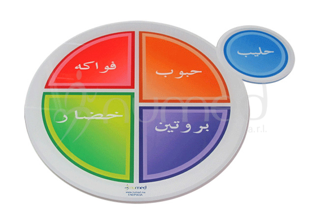 Myplate Plexi Plate (Arabic) | NUMED